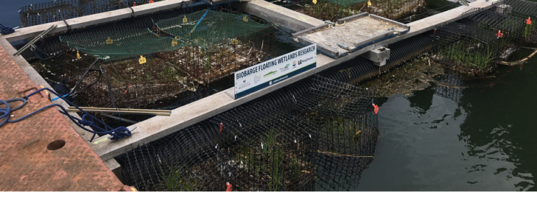 Floating Wetlands Research & Education - Green Futures LabGreen Futures Lab