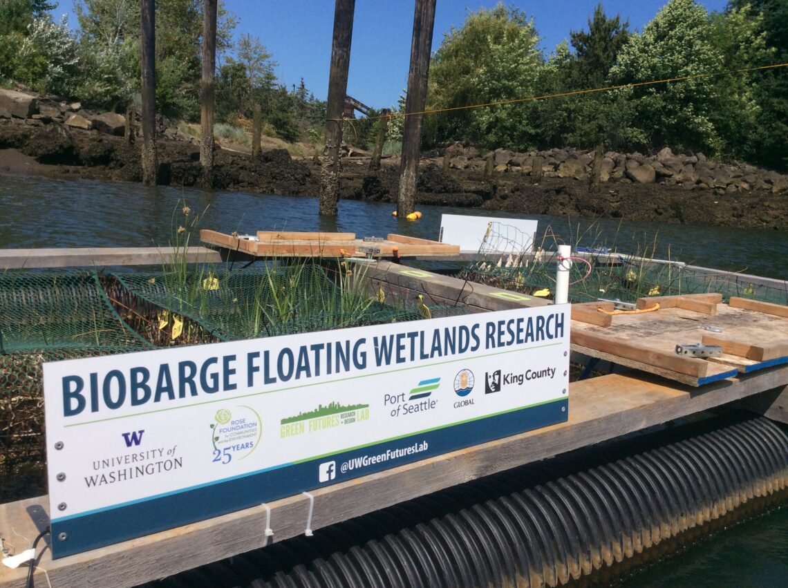 Floating Wetlands Research & Education - Green Futures LabGreen Futures Lab